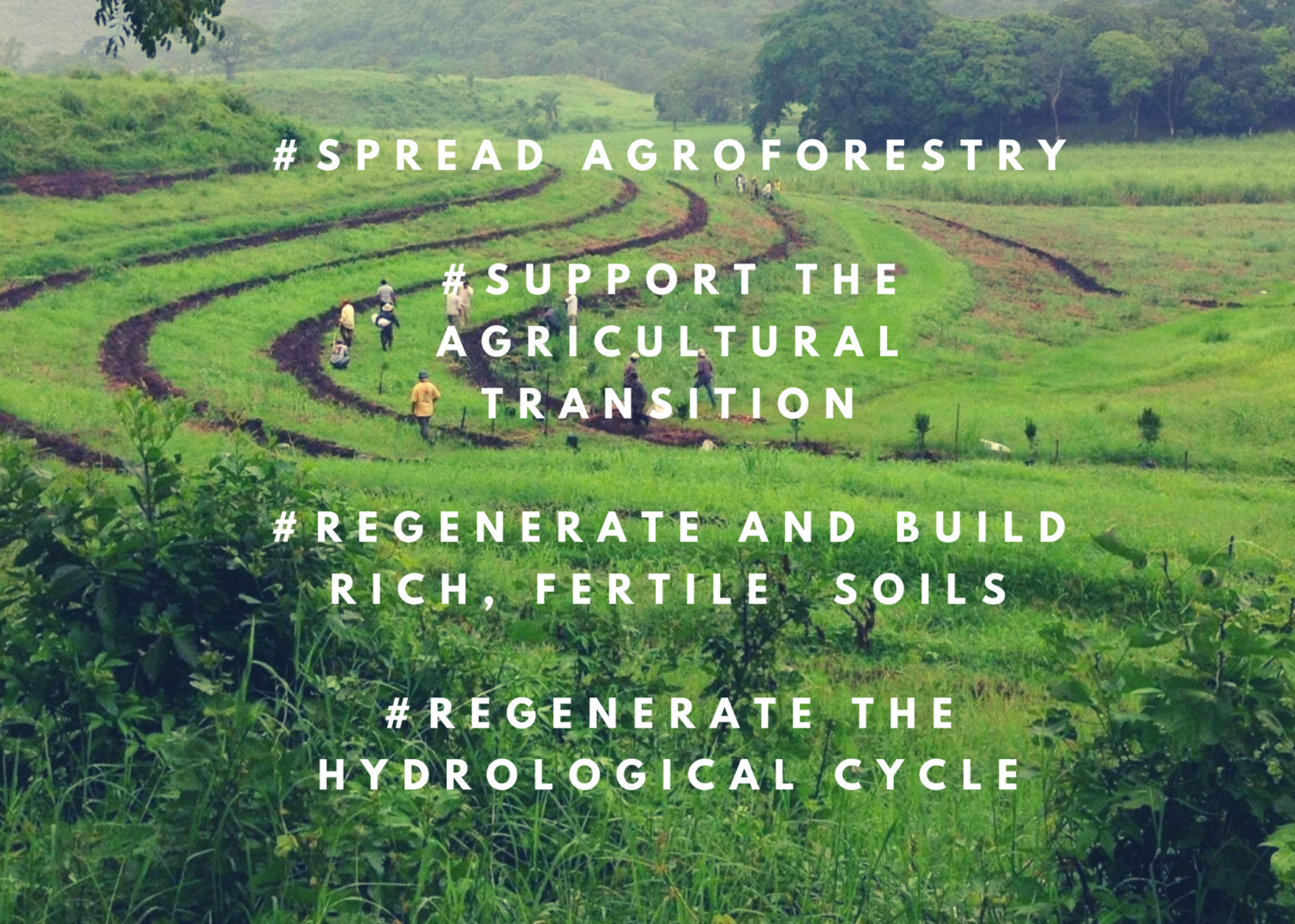 - Regenerative Farming Greece - Restoring soil and biodiversity while ...