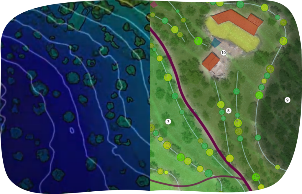 - Regenerative Farming Greece - Restoring soil and biodiversity while ...