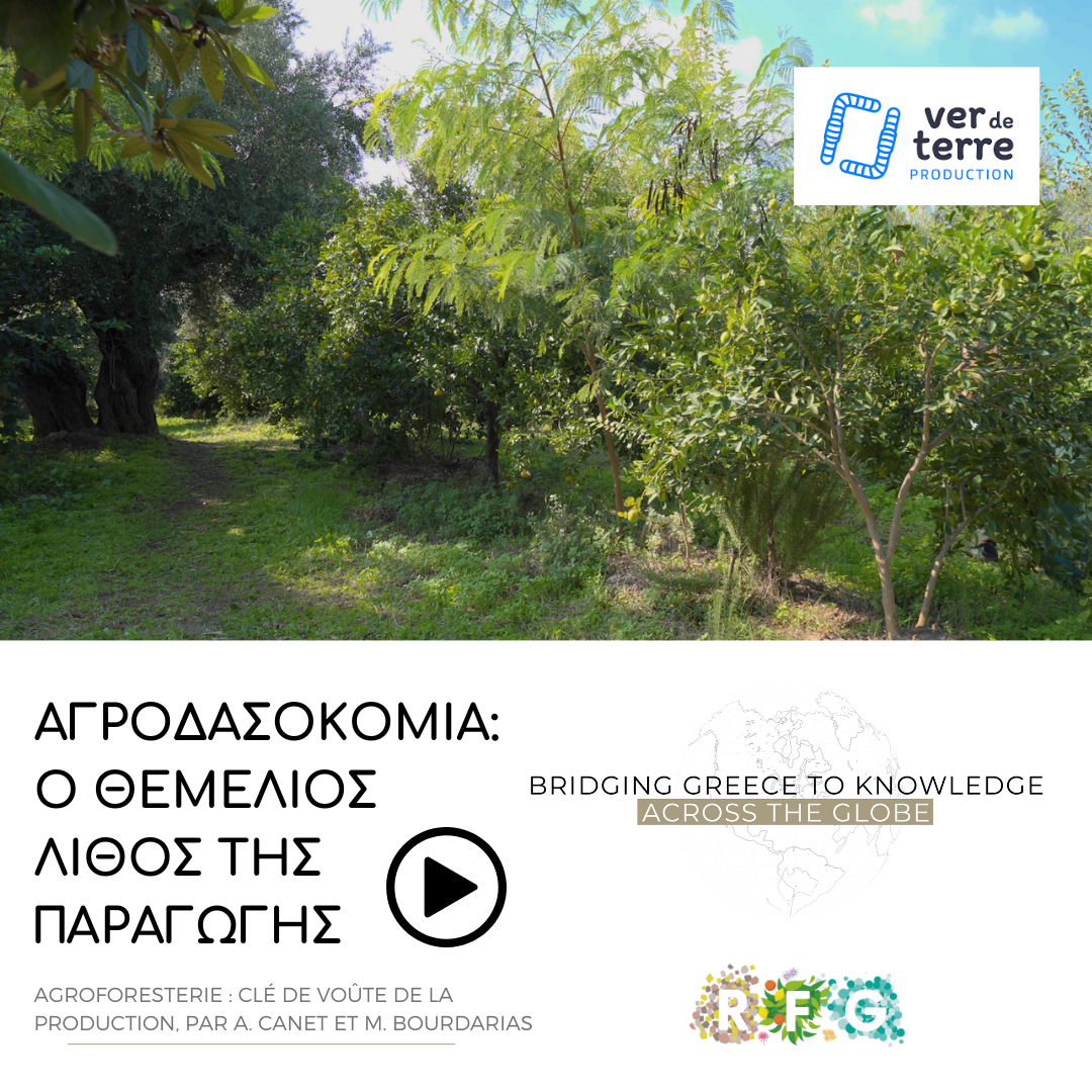 Agroforestry: a production's keystone - Regenerative Farming Greece